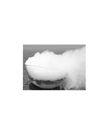 Carboglace : Sticks de 10 kg -EG